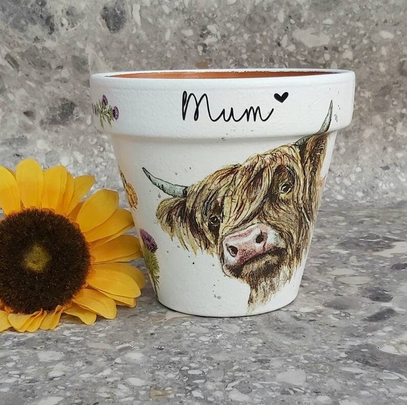 Highland Cow Plant Pot Large Terracotta Planter Decoupaged - Etsy UK
