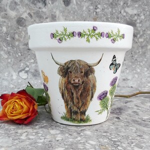 Highland Cow Plant Pot, Large Terracotta Planter, Decoupaged Flower Pot ...