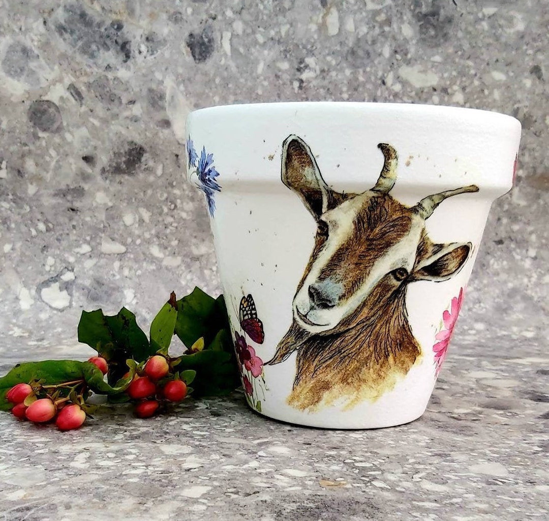 Goat Plant Pot, 17cm, Father's Day Plant Pot, Goat Planter, Terracotta ...