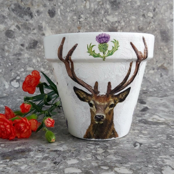 Terracotta Plant Pot - Etsy UK