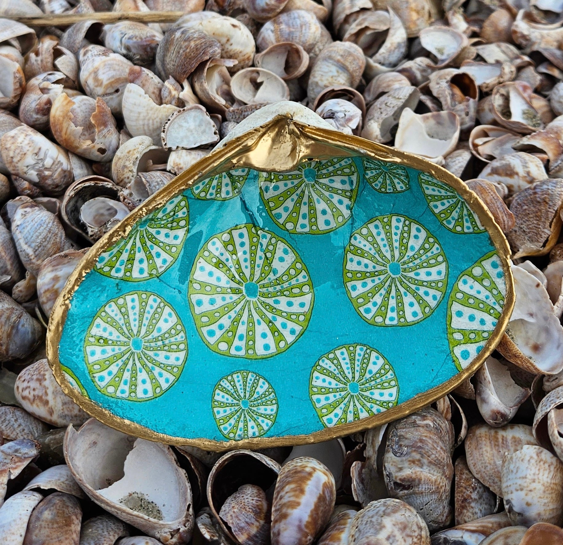 Clam Shell Trinket Dish Decoupage Clam Shells Shell Decor Decorative ...