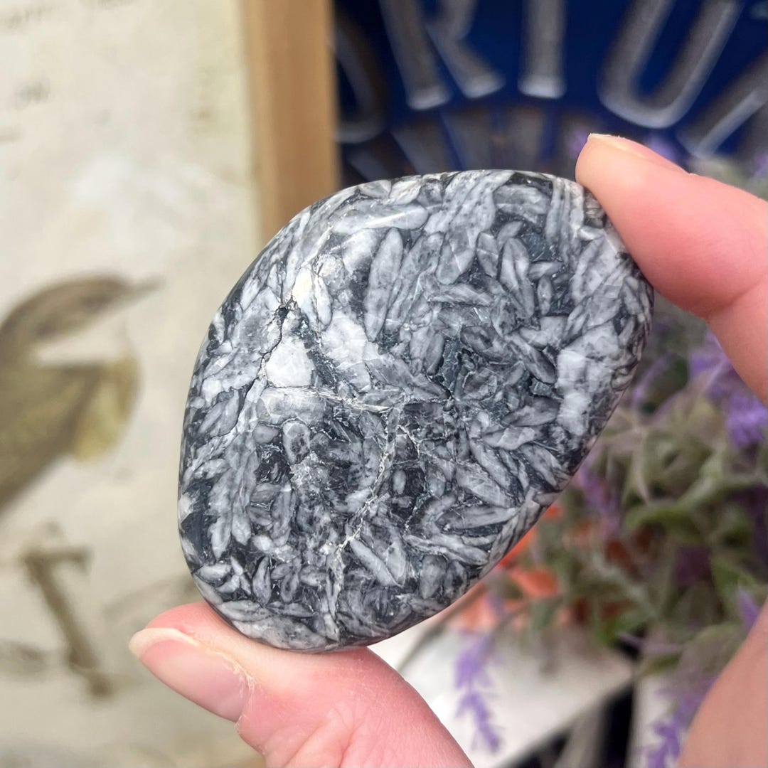 Rare Pinolite Palm Stone Pinolith Palm - Etsy