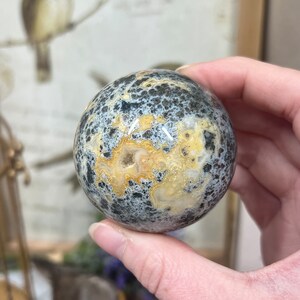 Unique Marcasite in Agate Sphere Nipomo Agate - Etsy
