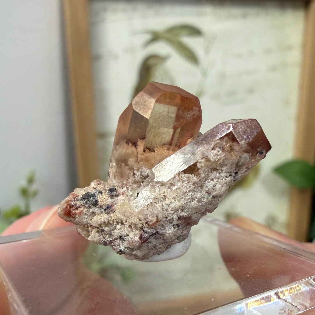 Utah Topaz Crystals on Matrix | Natural Champagne Topaz From the Thomas ...