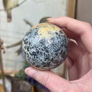 Unique Marcasite in Agate Sphere Nipomo Agate - Etsy