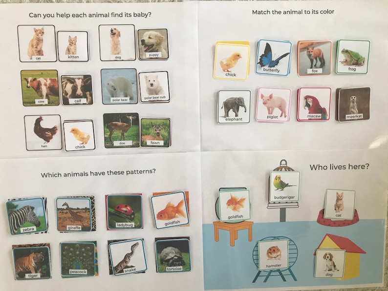 Printable Animals Busy Book / Animals Activity Pages / Animals - Etsy