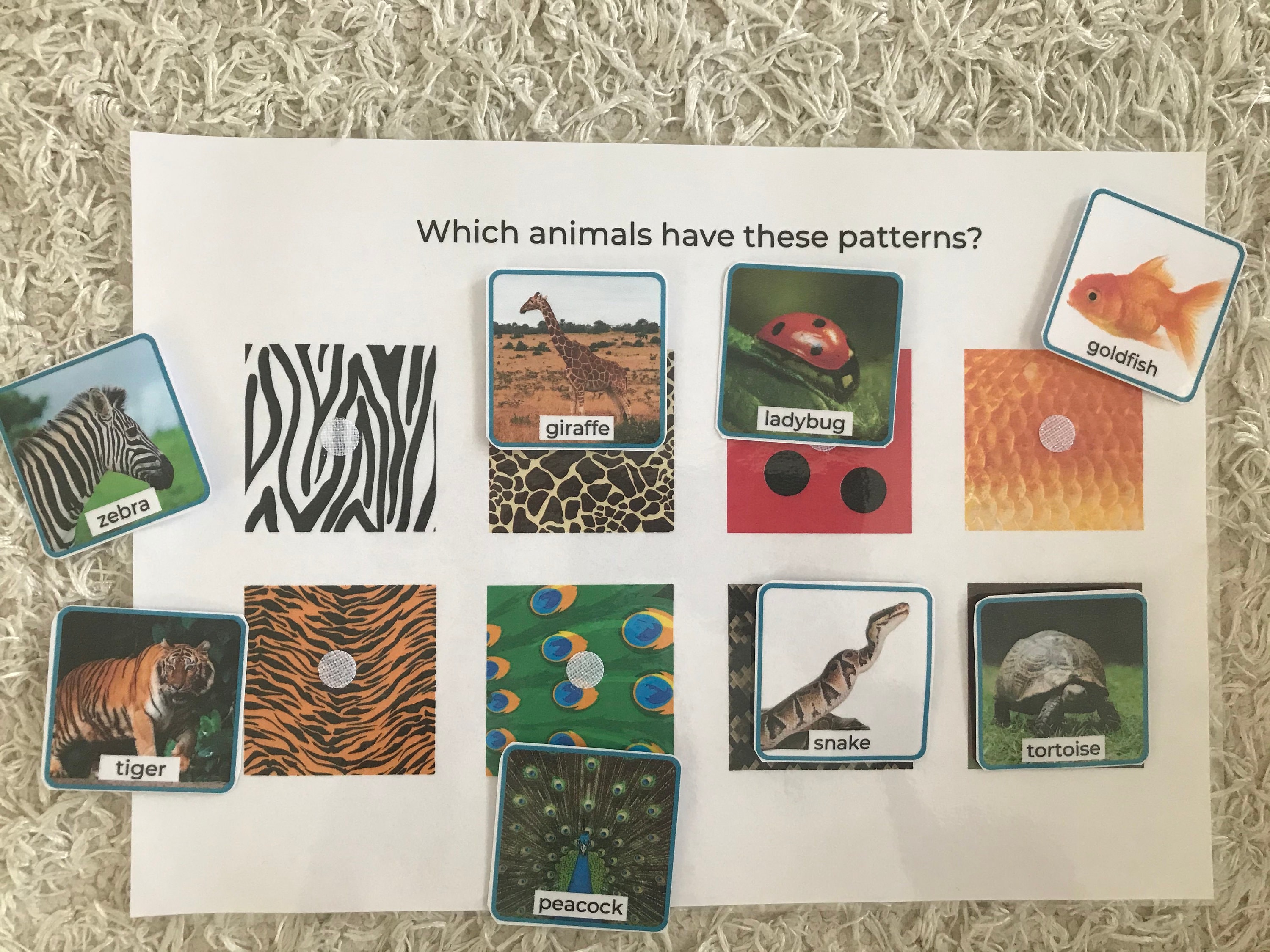 Printable Animals Busy Book / Animals Activity Pages / Animals ...