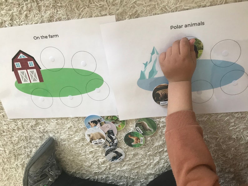 Printable Animals Busy Book / Animals Activity Pages / Animals - Etsy