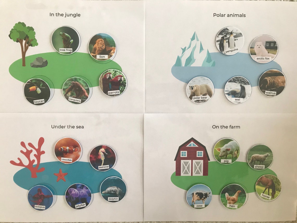 Printable Animals Busy Book / Animals Activity Pages / Animals - Etsy