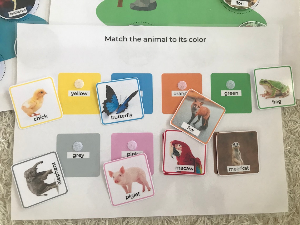 Printable Animals Busy Book / Animals Activity Pages / Animals - Etsy