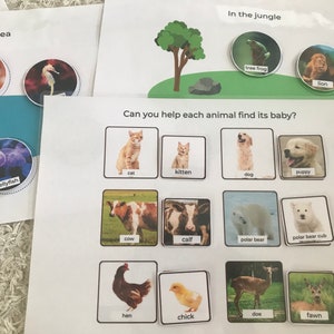 Printable Animals Busy Book / Animals Activity Pages / Animals ...