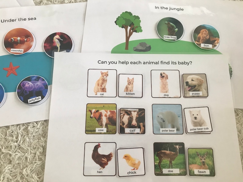 Printable Animals Busy Book / Animals Activity Pages / Animals ...