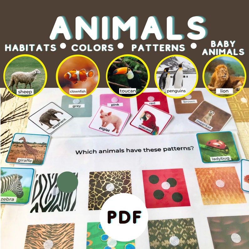 Printable Animals Busy Book / Animals Activity Pages / Animals ...