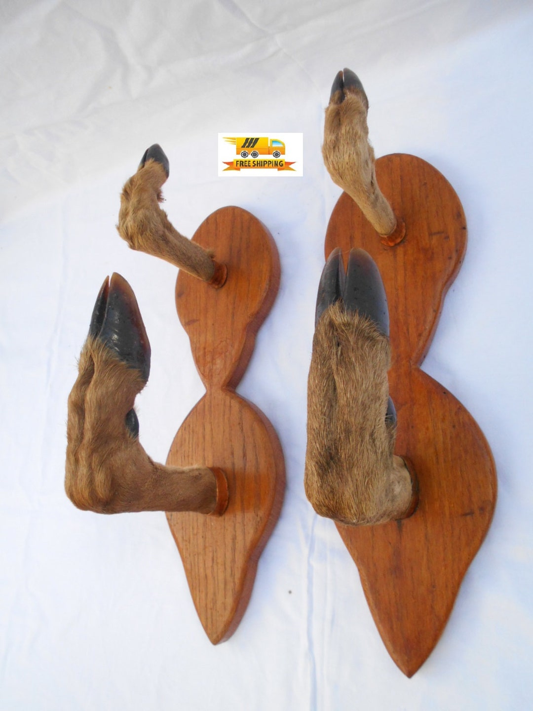 Vintage French 2 X 2 Taxidermy Deer Feet Gun Racks/coat Racks - Etsy UK