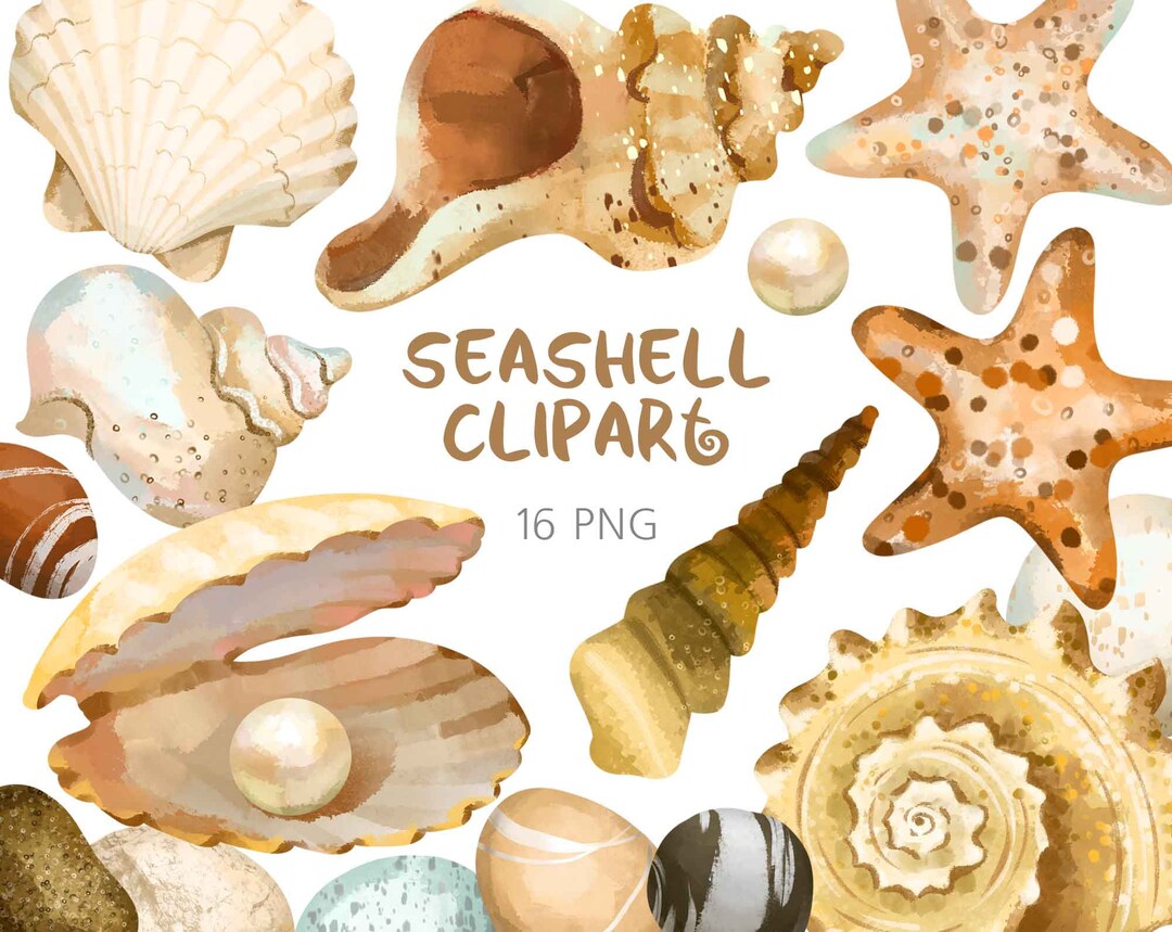 Summer Seashell Png Clipart,boho Watercolor Sea Beach Clipart and Ocean ...