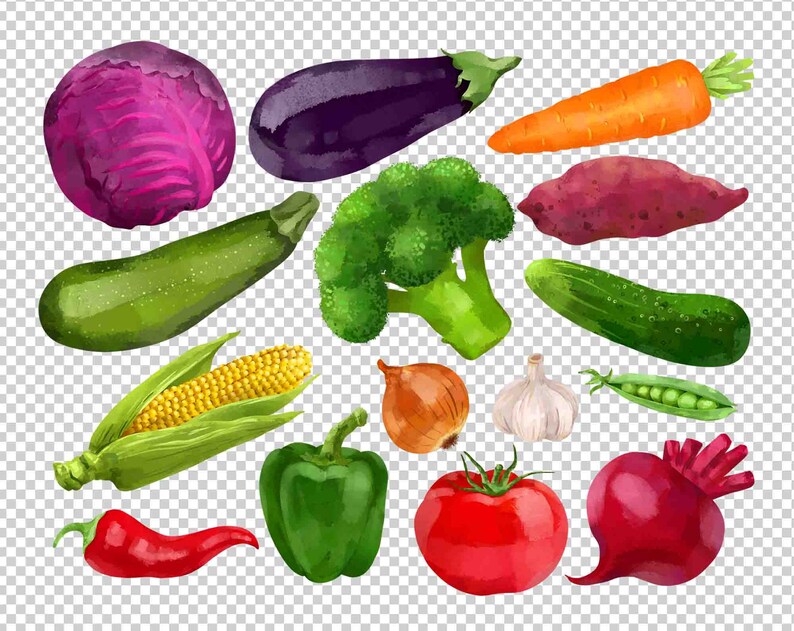 Summer Vegetable Clipart Setvegetable Png Illustration - Etsy