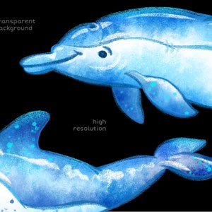 Cute Dolphin Png Clipart Commercial Use,dolphin Digital File Ocean ...
