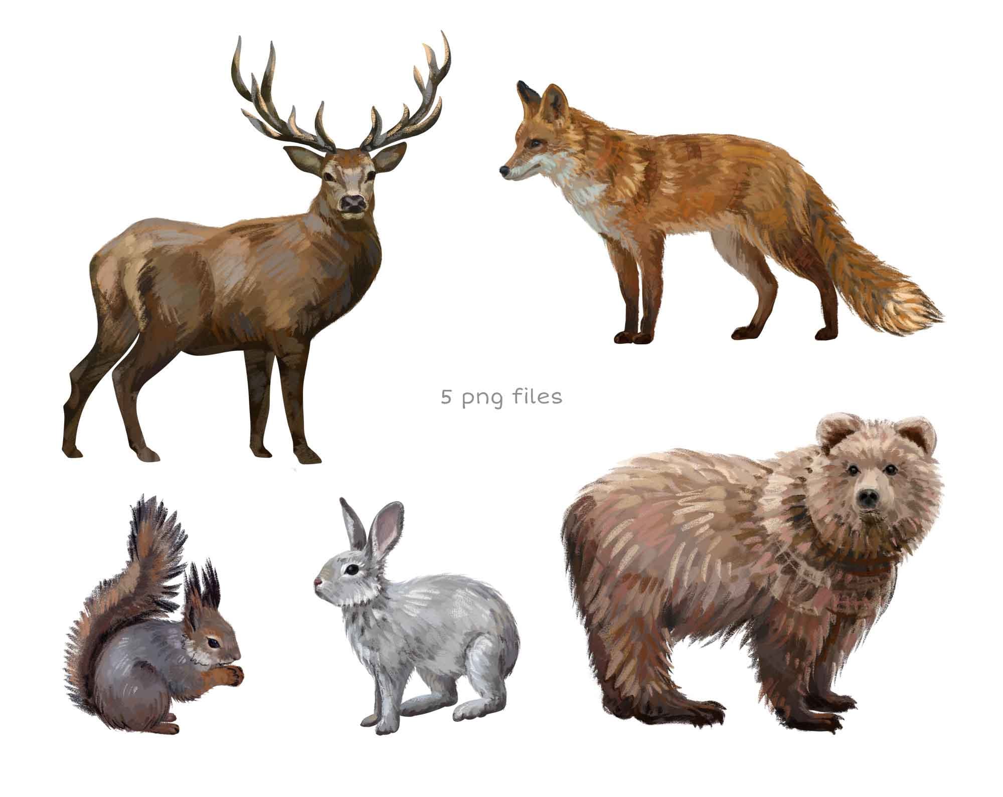 Woodland Animals Png Clipart Deer Png Fox Clipart Squirrel Png | Etsy