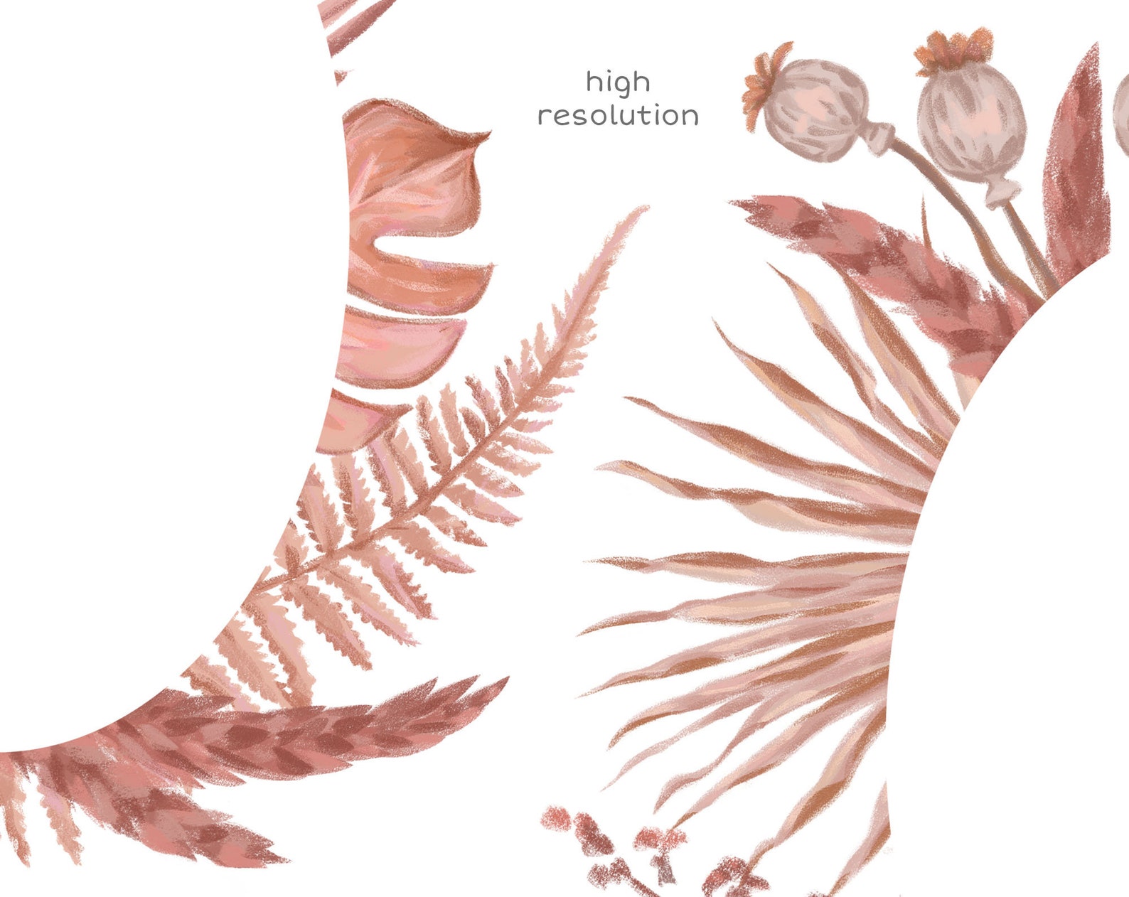 Boho Png Clipart Digital Frames and Seamless Border for Floral - Etsy