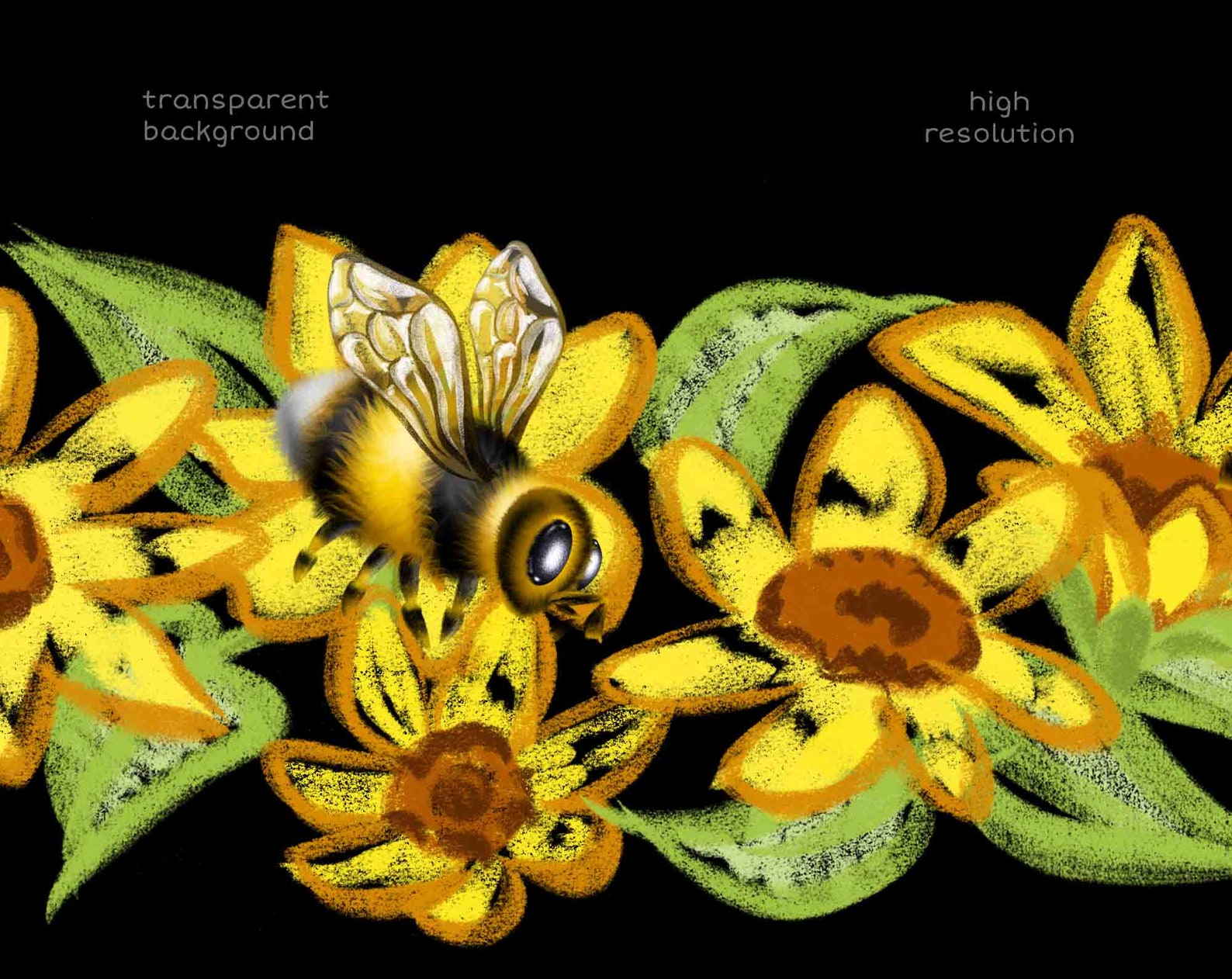 Floral Border Clipart Png Bee Seamless Files Digital | Etsy