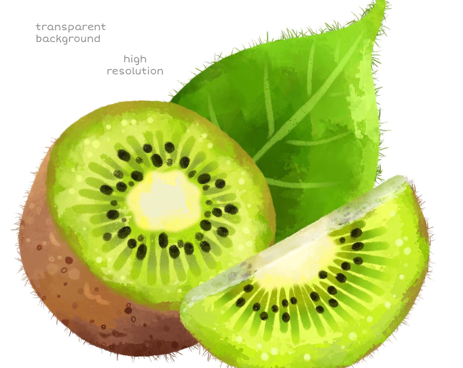 Kiwi Fruit Png Clipart Instant Downloadcute Kiwi Digital | Etsy