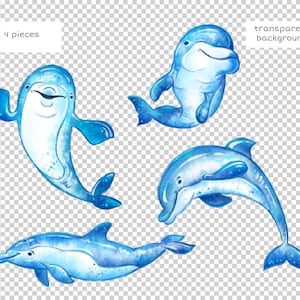 Cute Dolphin Png Clipart Commercial Use,dolphin Digital File Ocean ...