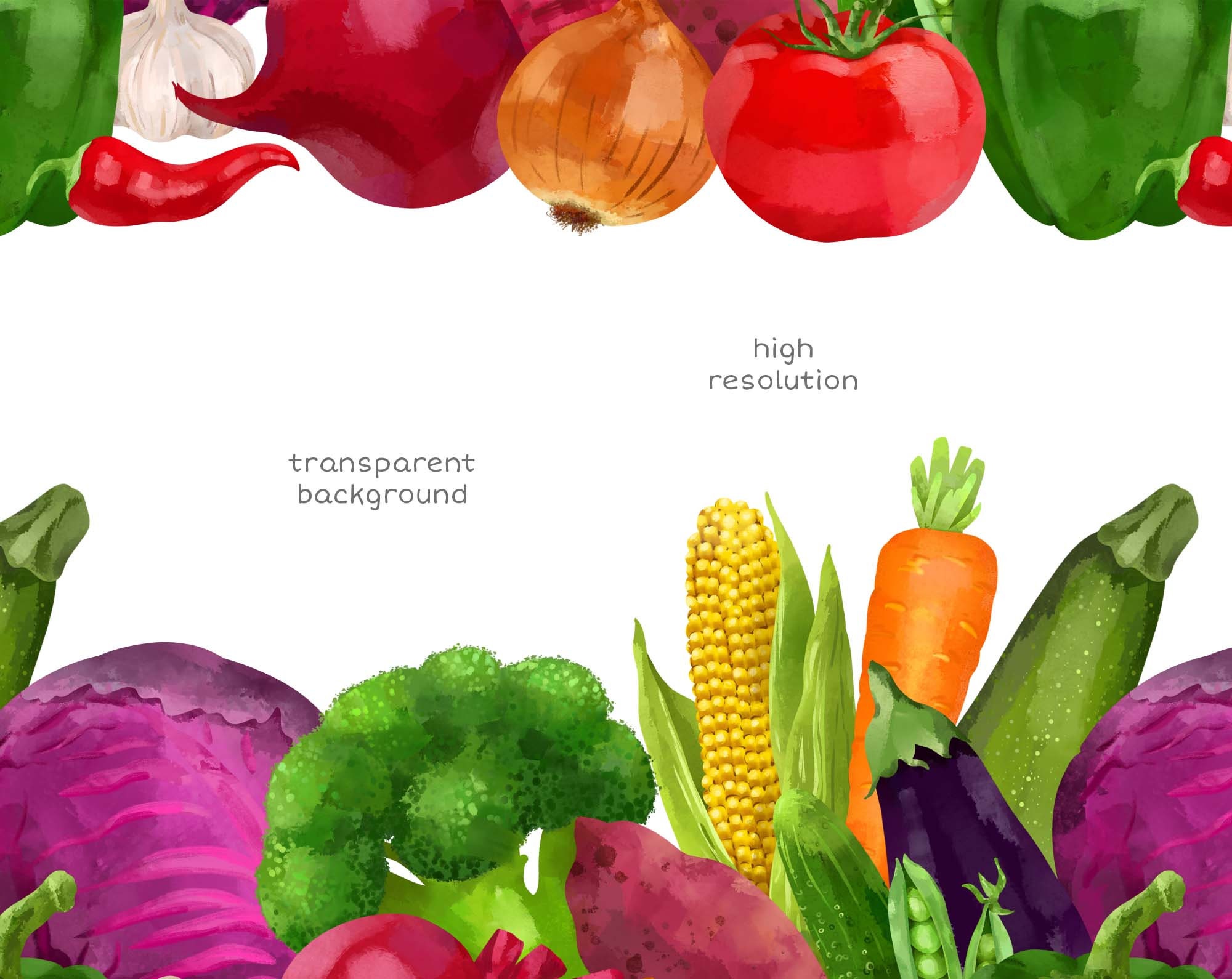 Vegetable Digital File Border Png Clipart Commercial - Etsy UK