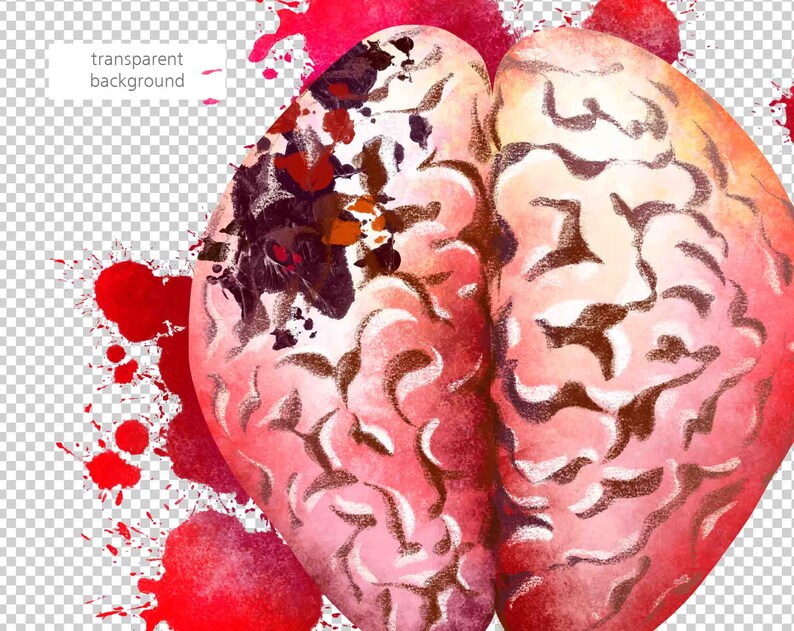 Brain Png Clipart Mental Health Pngmedical Clipart Digital - Etsy