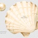 Summer Seashell Png Clipart,boho Watercolor Sea Beach Clipart and Ocean ...