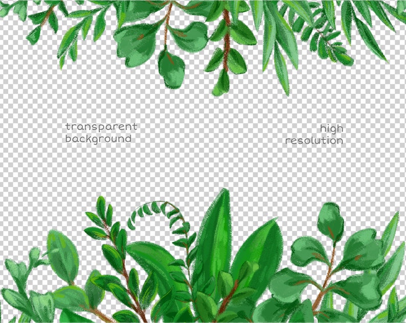 Greenery Clipart Png Digital Downloadgreen Leaves Png Clipart - Etsy