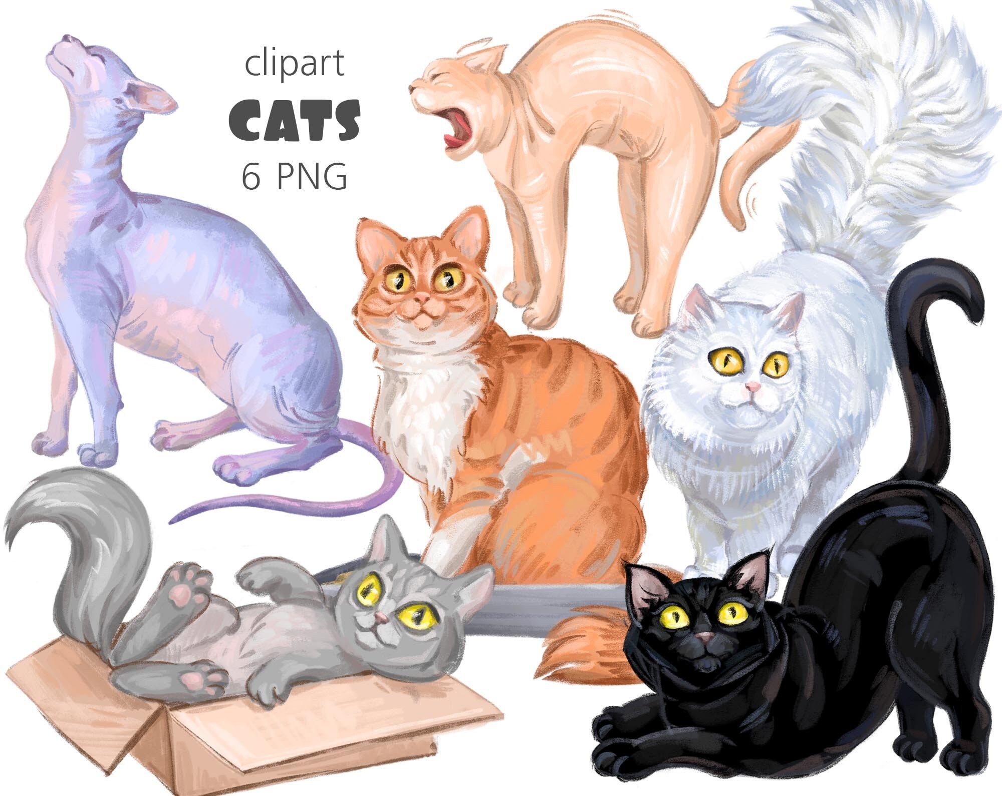Cute Cat Clipart Black Cat Png Files for Sublimation - Etsy
