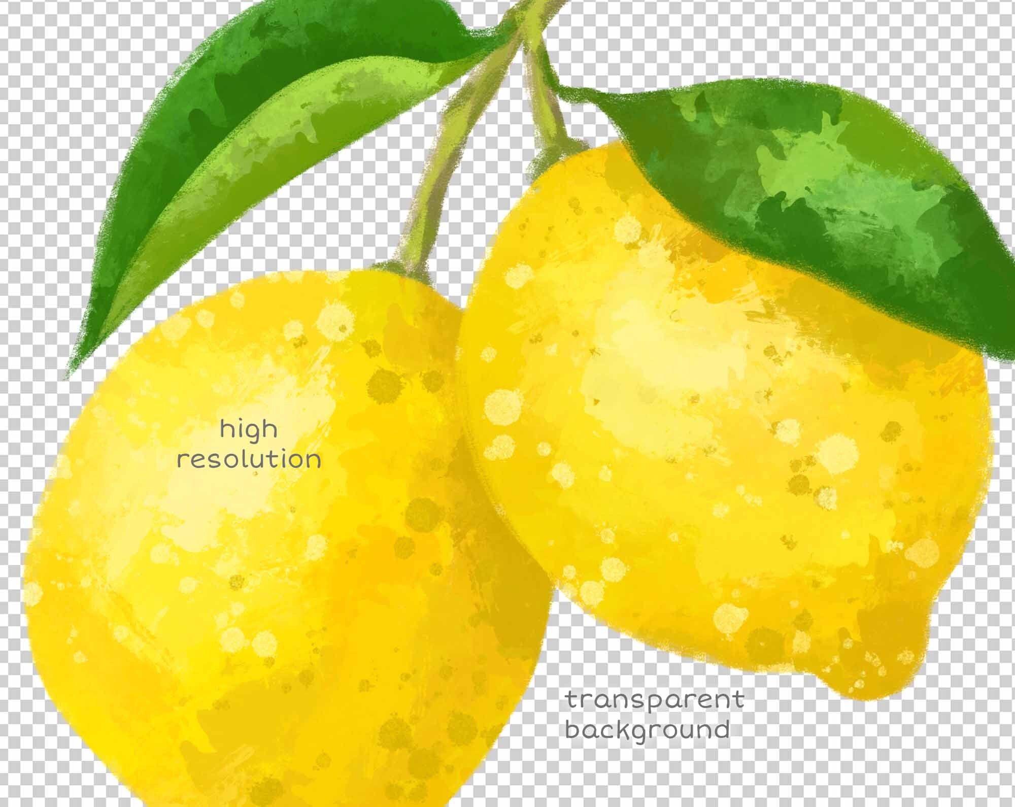 Cute Lemon Png Clipart Digital Watercolor, Lemon Theme Png Graphics ...