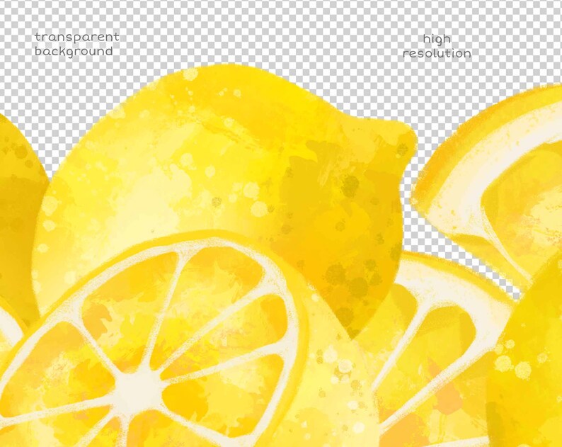 Lemon Seamless Border Png ClipartСitrus Border Seamless Files - Etsy
