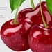 Cherry Png Clipart Summer Illustration, Digital Watercolor Red Berries ...