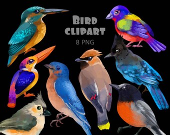 Cute Bird Digital | Etsy