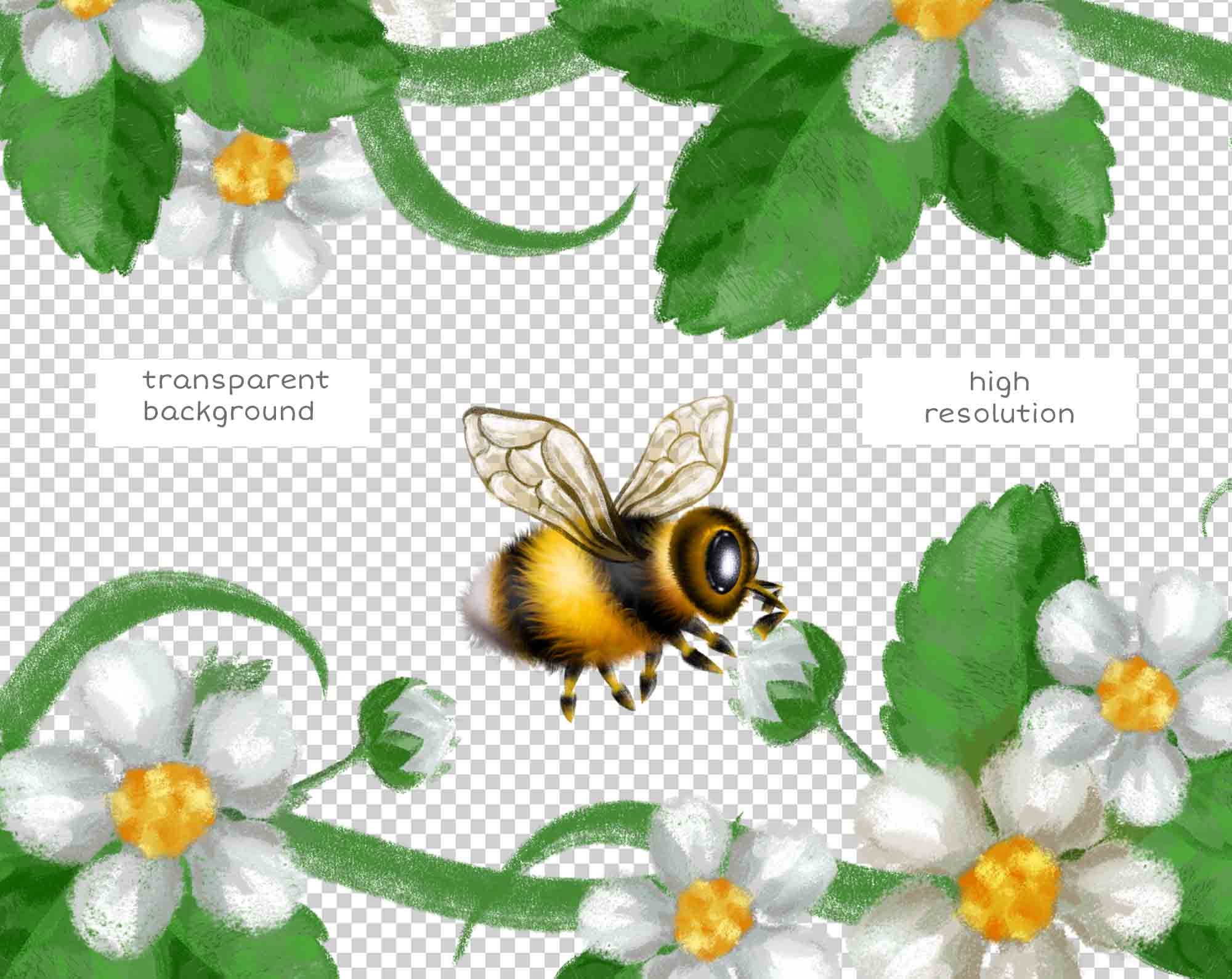 Floral Border Clipart Png Bee Seamless Files Digital Download ...