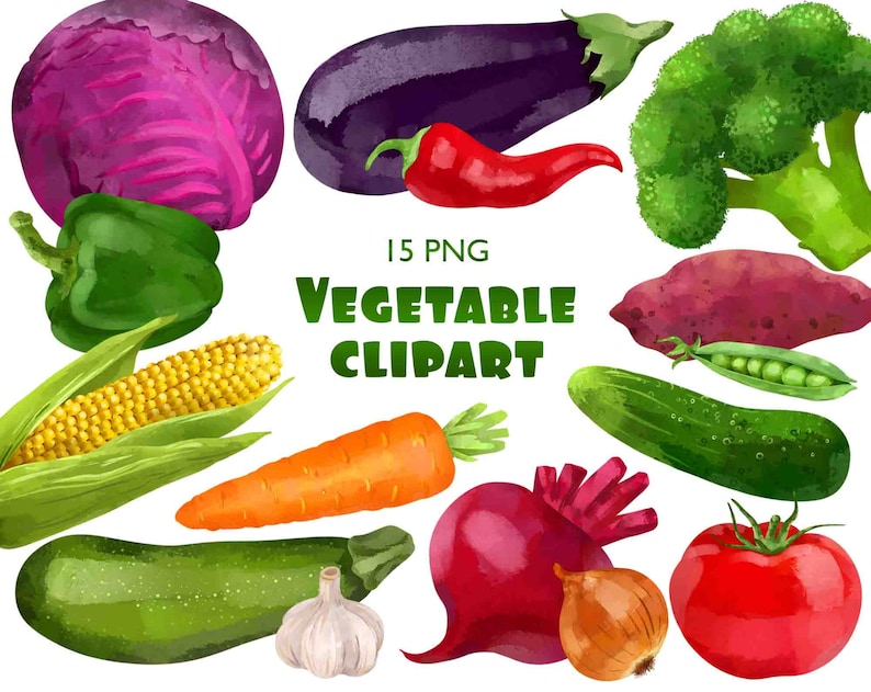 Summer Vegetable Clipart Setvegetable Png Illustration - Etsy