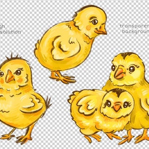 Cute Chicken Png Clipart,hen Egg Nest Png File Chicken Family Clipart ...
