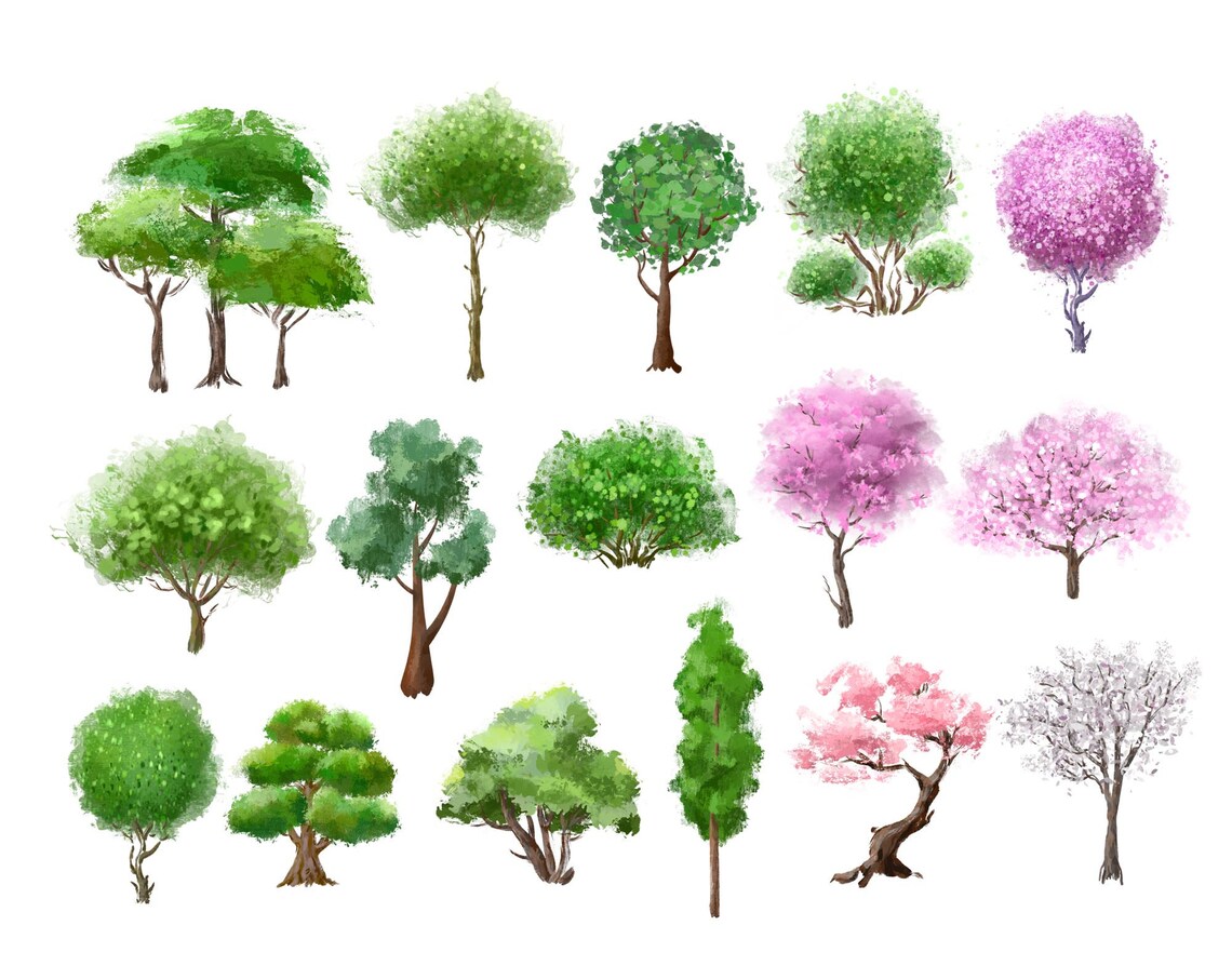 Cute Tree Clipart Digital Downloadspring Tree Png File - Etsy