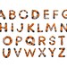 Tiger Alphabet Letters Clipart Png Abc Digital Download,sublimation ...
