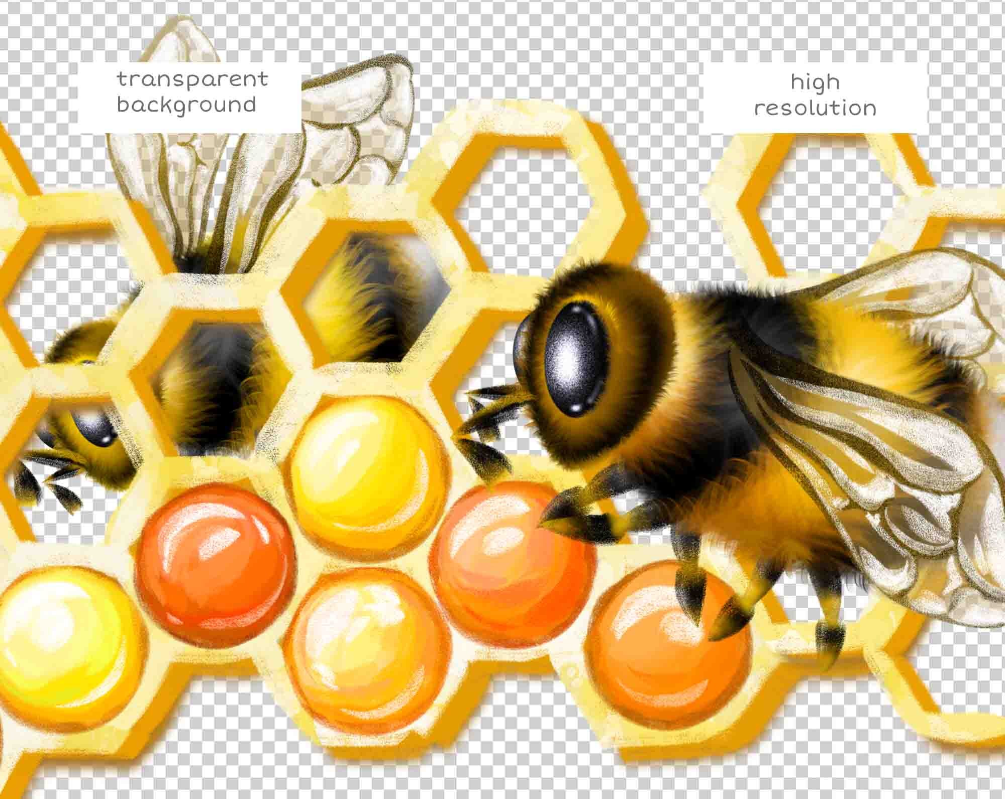 Bee Png Border Clipart Honey Seamless Border Png Files,cute Bee Digital ...