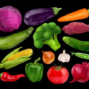 Summer Vegetable Clipart Set,vegetable Png Illustration Watercolor ...