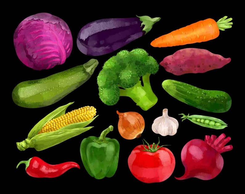 Summer Vegetable Clipart Setvegetable Png Illustration - Etsy