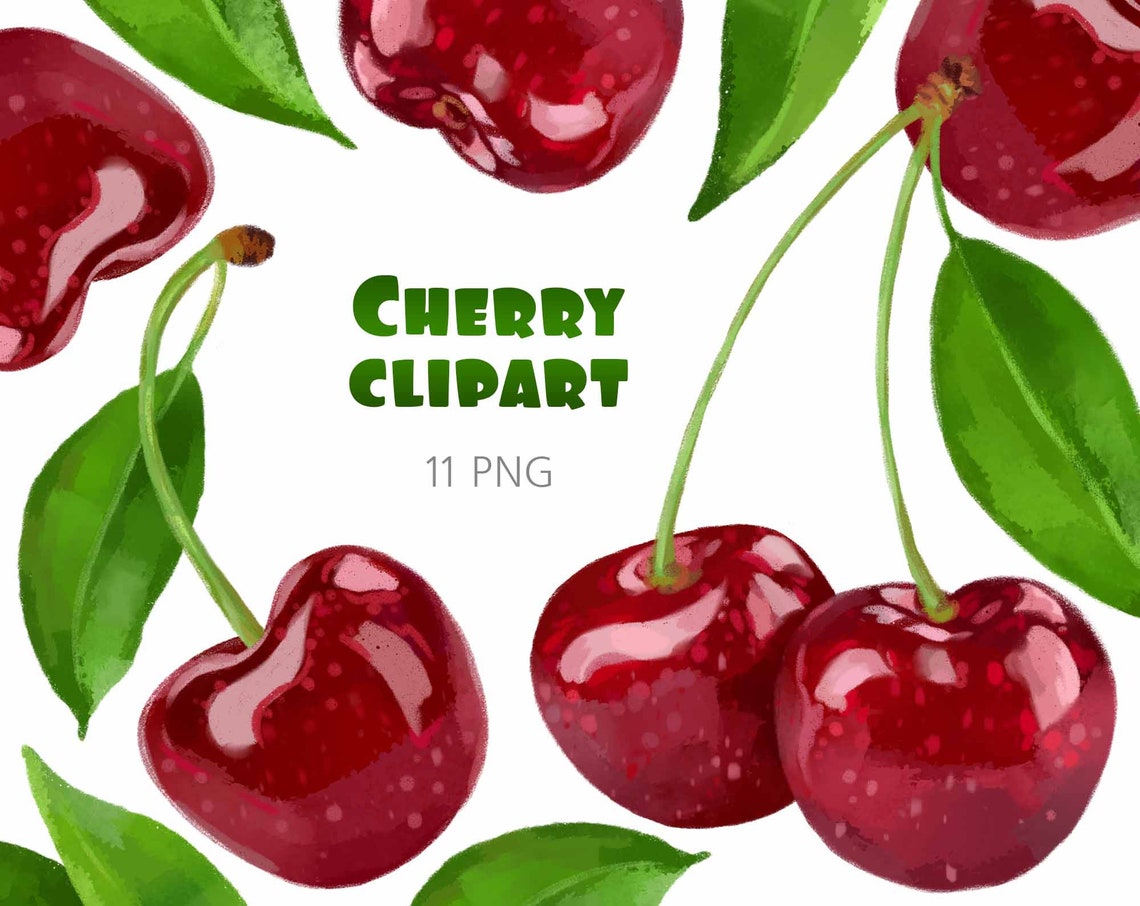 Cherry Png Clipart Summer Illustration Digital Watercolor Red - Etsy