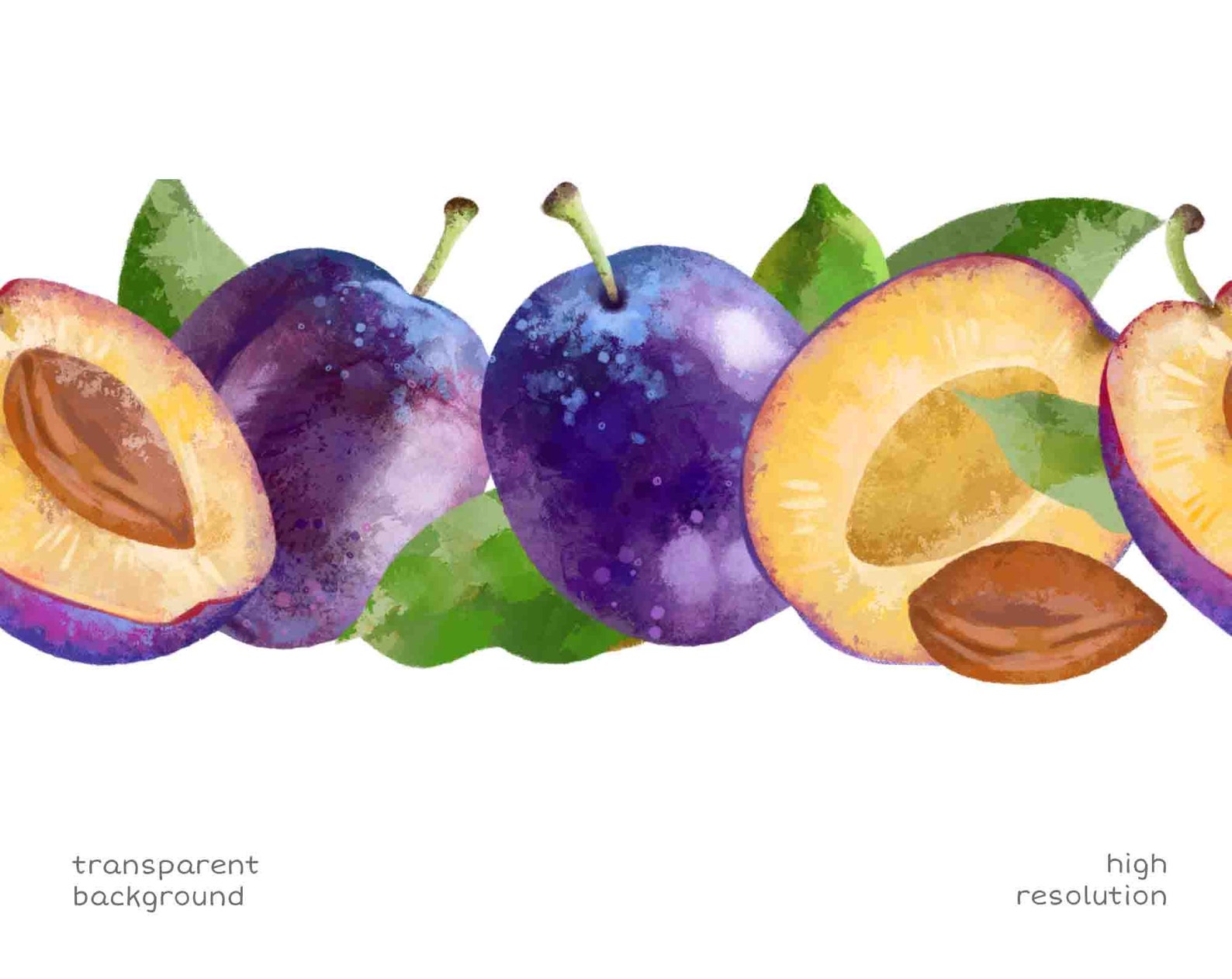 Plum seamless borders png clipartDigital border seamless | Etsy