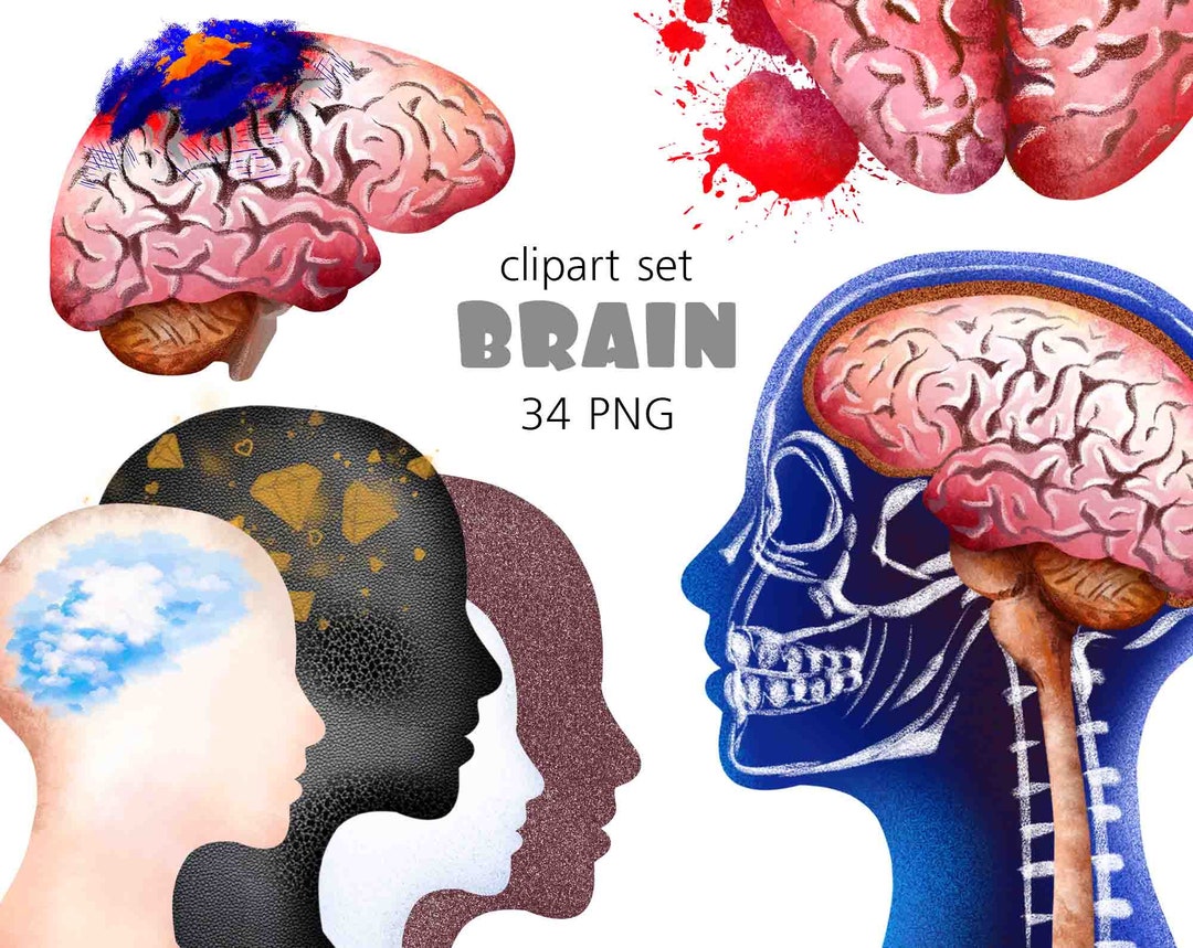Brain Png Clipart Mental Health Png,medical Clipart Digital Download ...