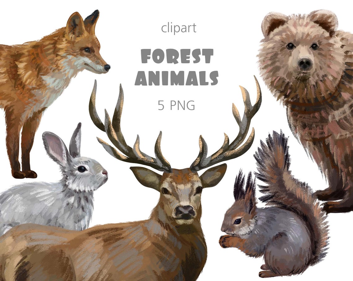Woodland Animals Png Clipart Deer Png Fox Clipart Squirrel Png | Etsy
