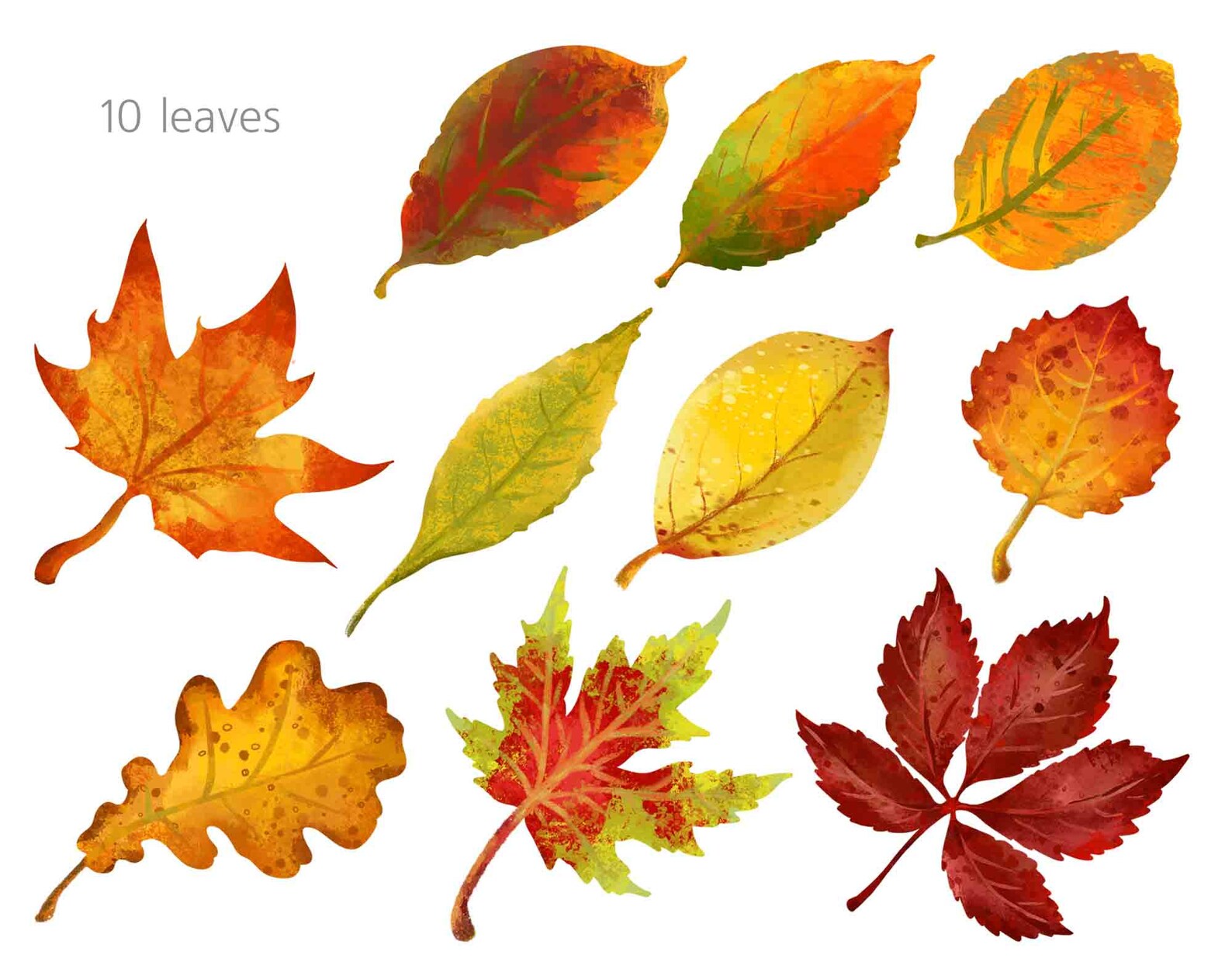 Fall Clipart Png Autumn Pumpkin Png Border Clipart,autumn Wreath Png ...