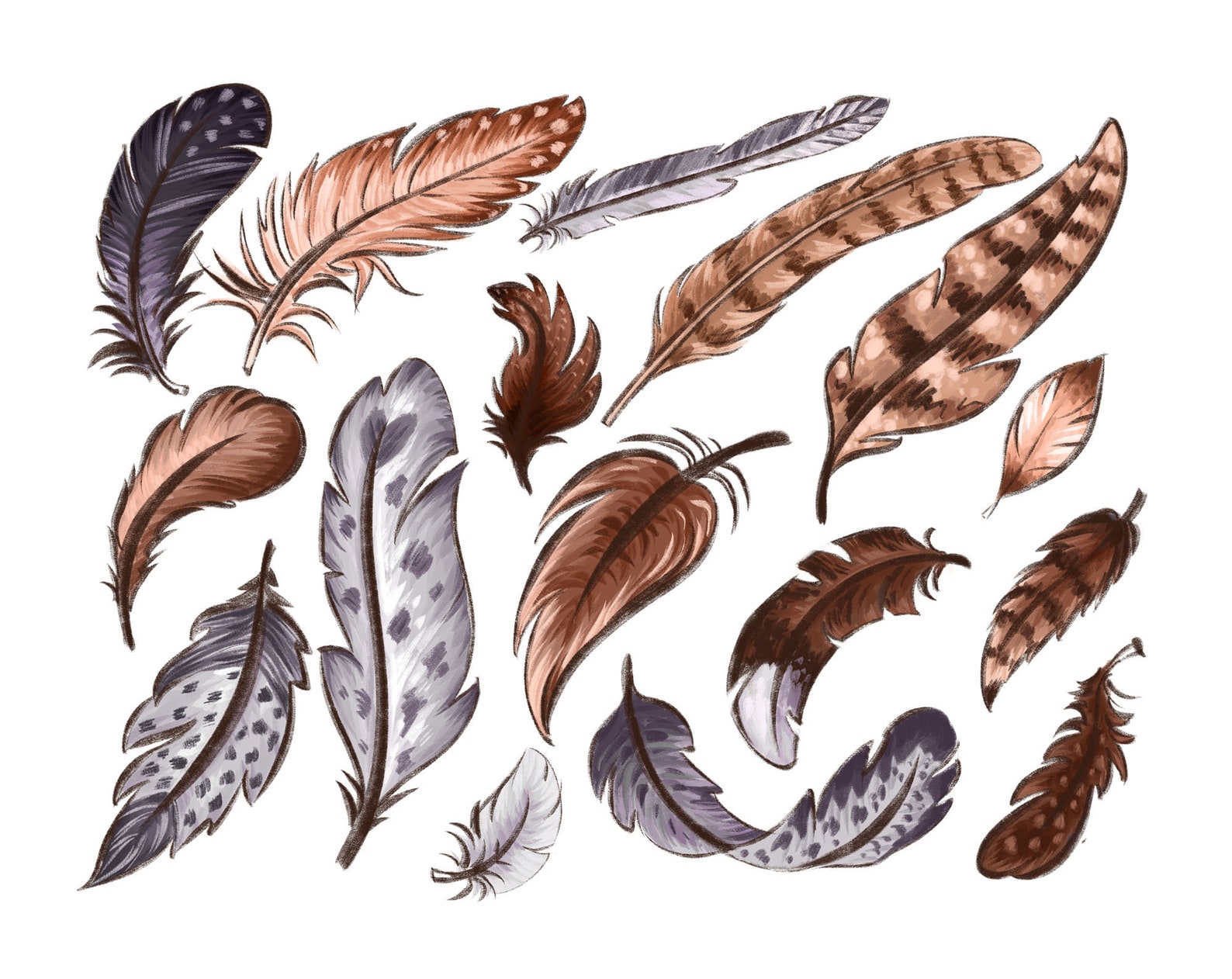 Federn Boho PNG Clipart, digitale Aquarell Feder Clipart für ...