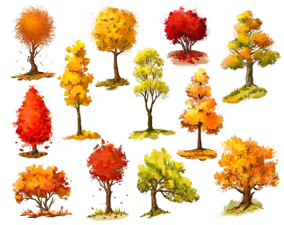 Fall Tree Png Clipart Digital Downloadautumn Trees Watercolor - Etsy